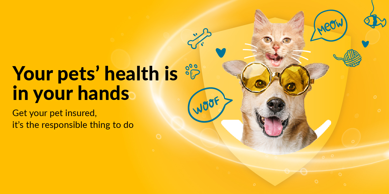 The Ultimate Guide to Pet Insurance in Malaysia - Insurance & Takaful Tips